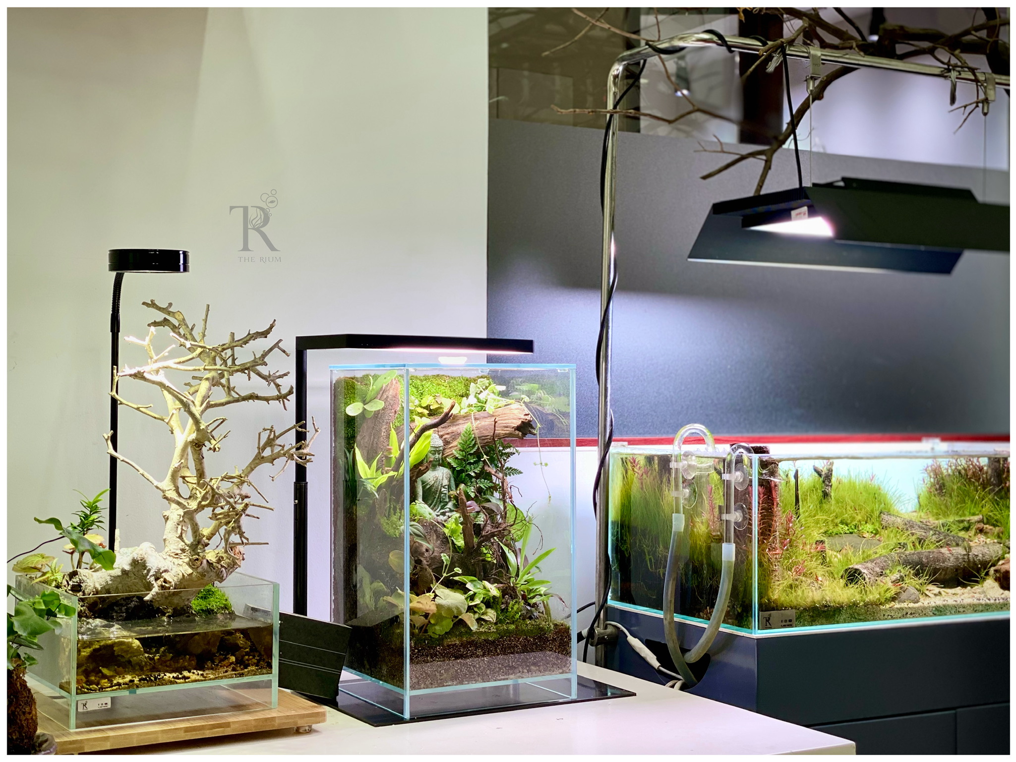 Các mẫu bán cạn Terrarium, Vivarium, Paludarium